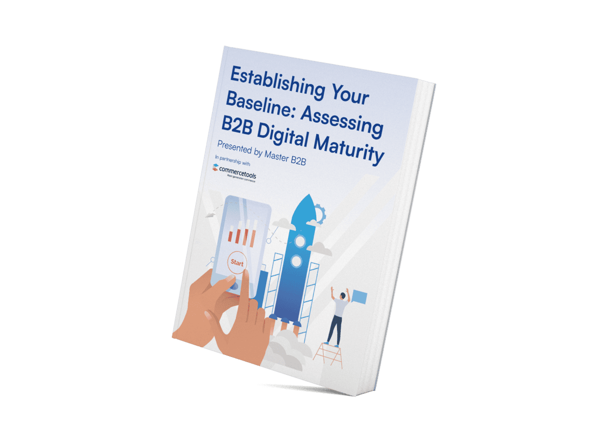 Establishing Your Baseline Report – Master B2B